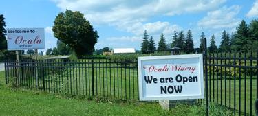 Ocala Winery Scugog, ON | PaintNite.com Venue